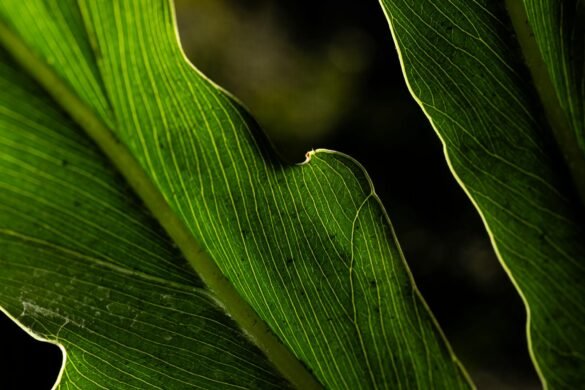 Ledson Commander Gen 2 ger överlägsen styrning | IT-Hållbarhet